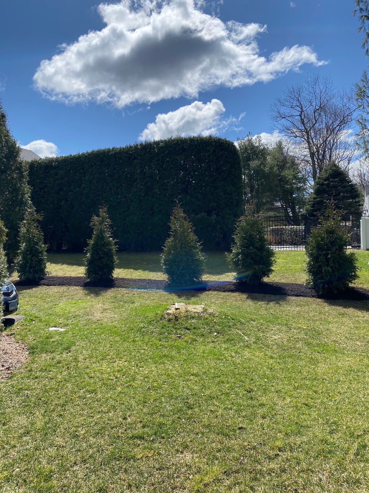Landscape Department | Larson’s Garden Center and Landscaping